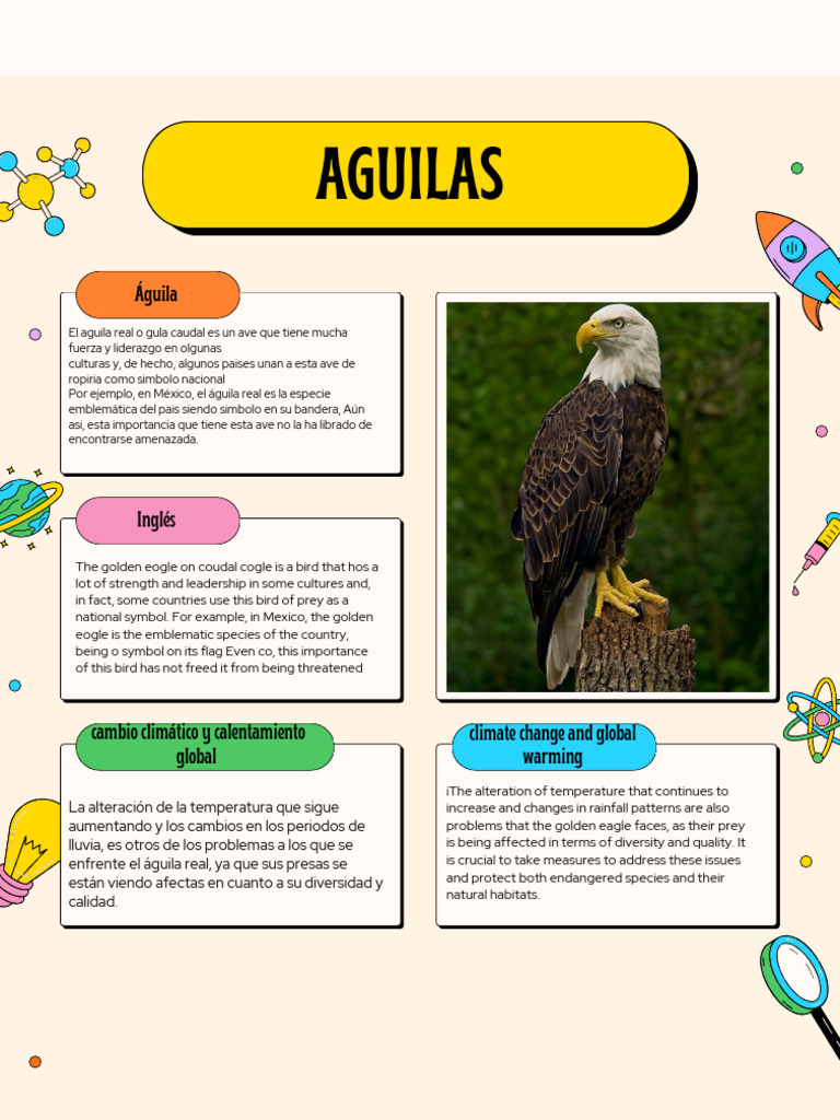 Águilas | PDF