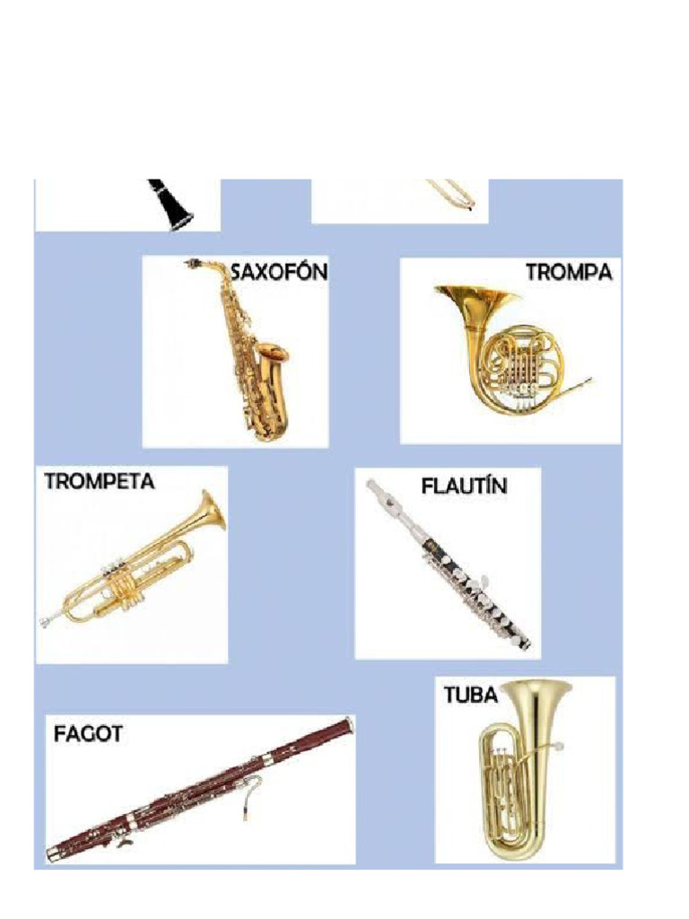 Instrumentos Musicales | PDF