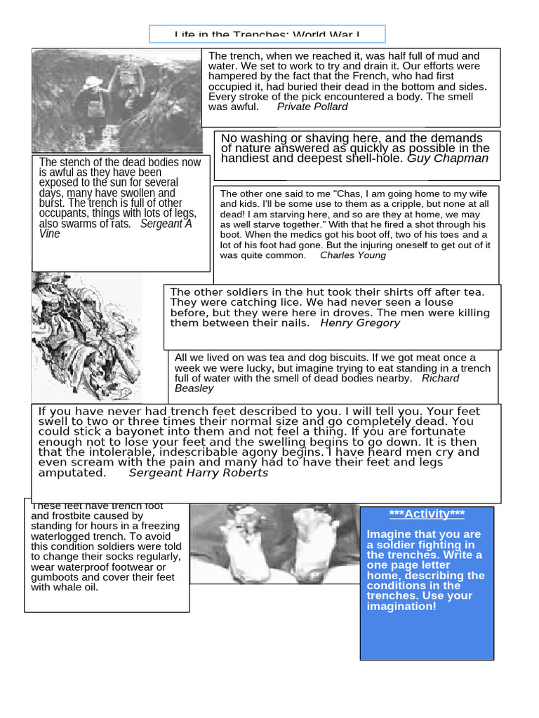 Life in the Trenches Assignment | PDF