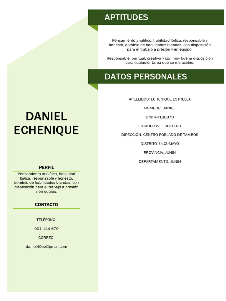 CV Daniel-1 | PDF