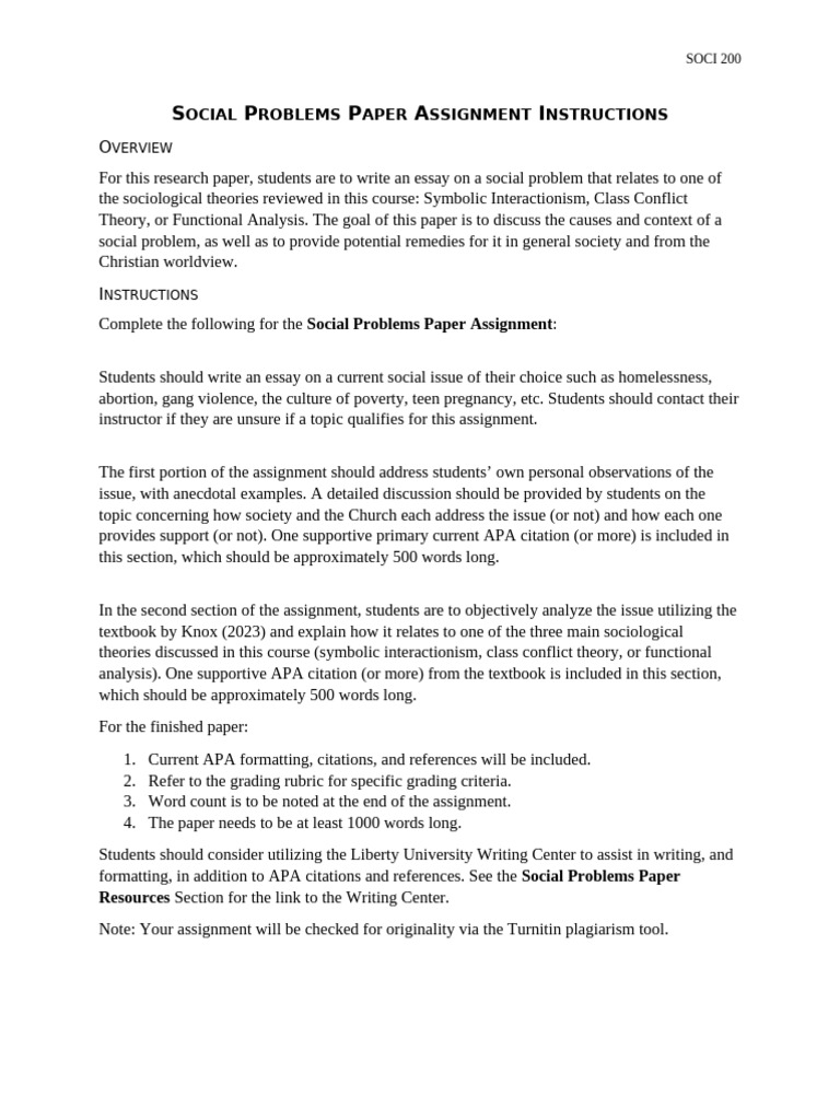 Social Problems Paper Assignment Instructions | PDF