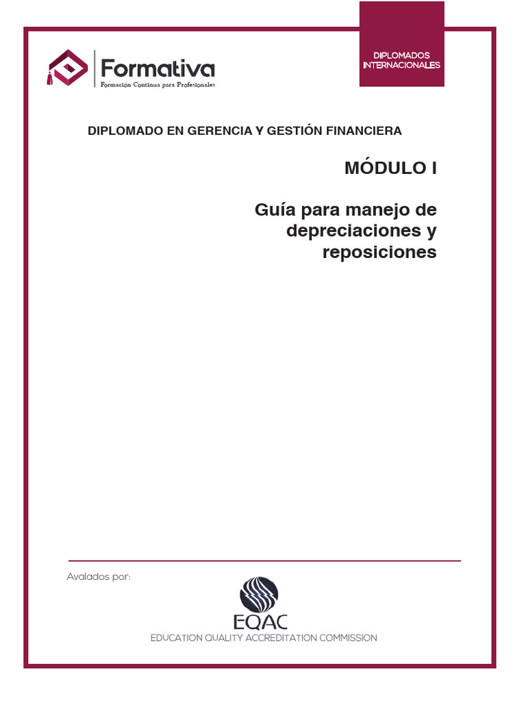 4 - Guía para Manejo de Depreciaciones y Reposiciones | PDF