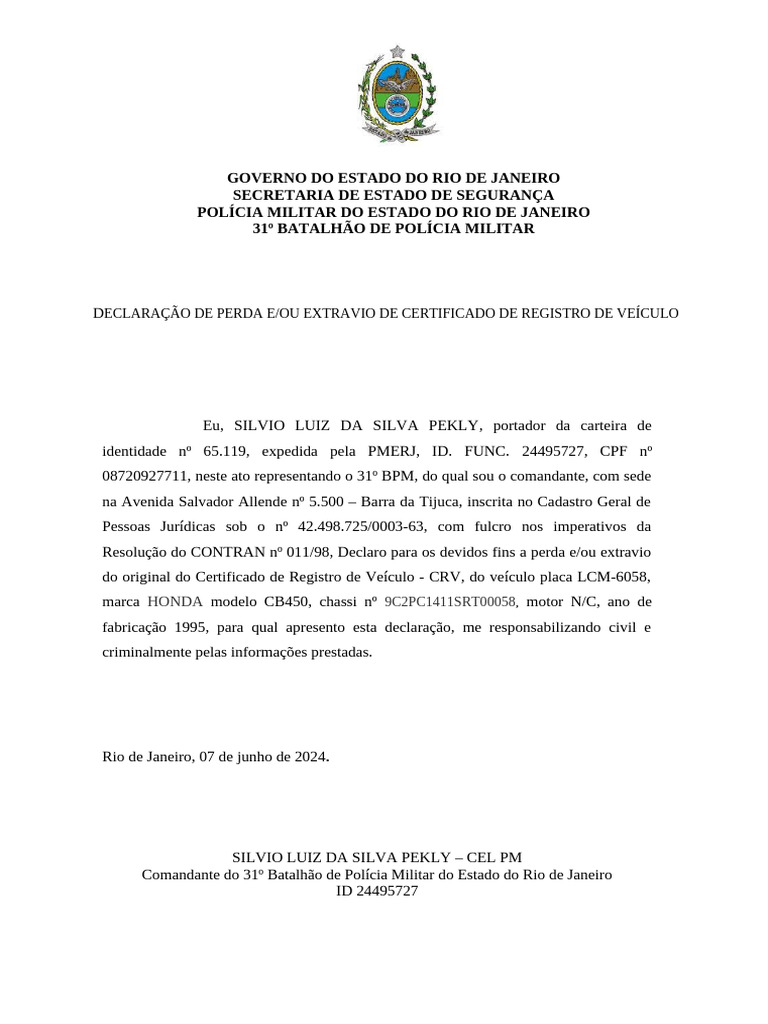40-0247 Declaração de Extravio CRV 2024 | PDF