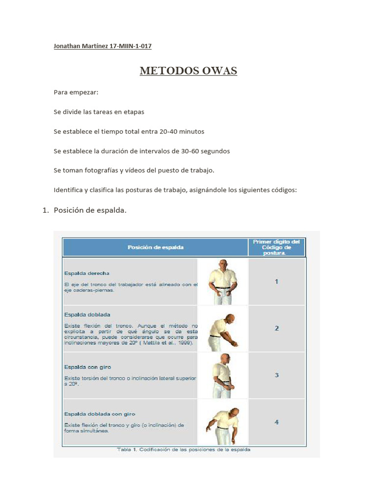 Metodo OWAS | PDF