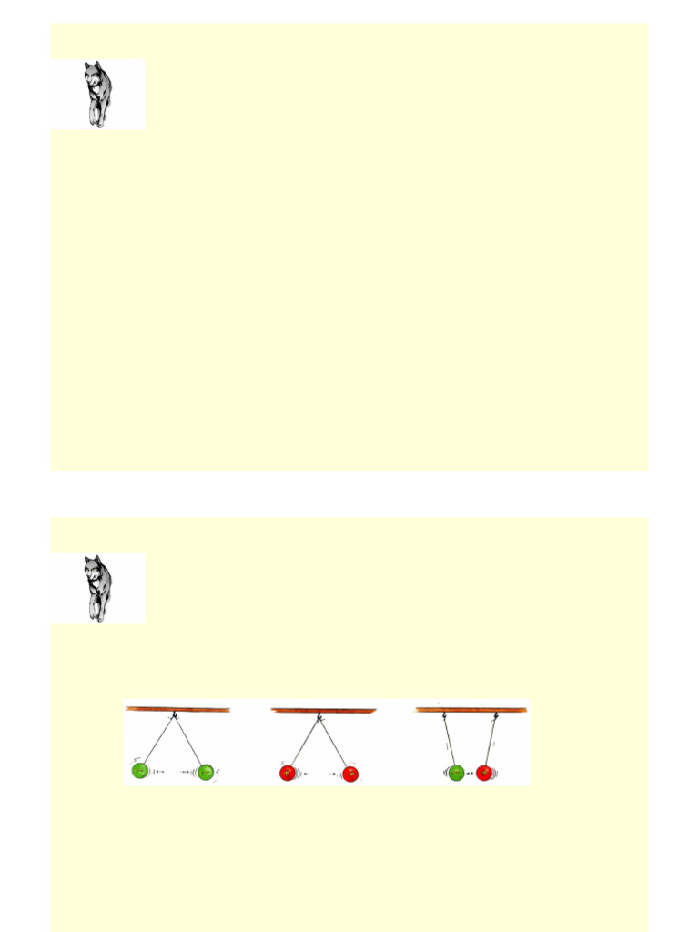 SH1 4havo | PDF | Science & Mathematics