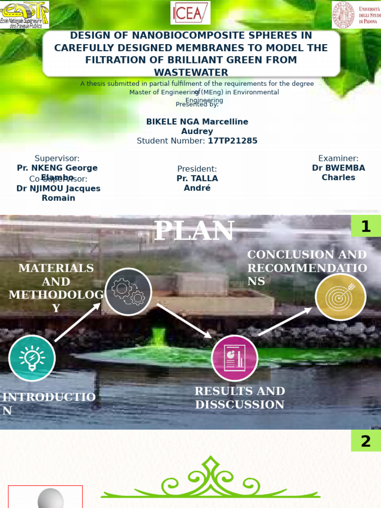 My Presentation Bikele | PDF