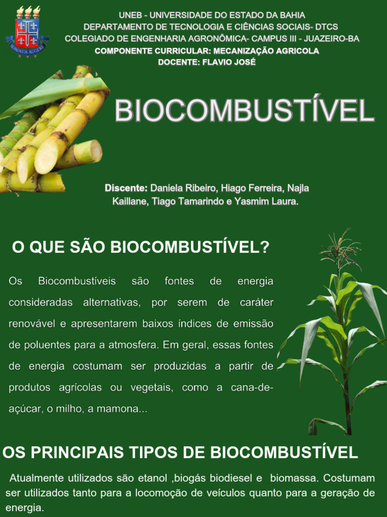 Bio Combust Í Vel | PDF