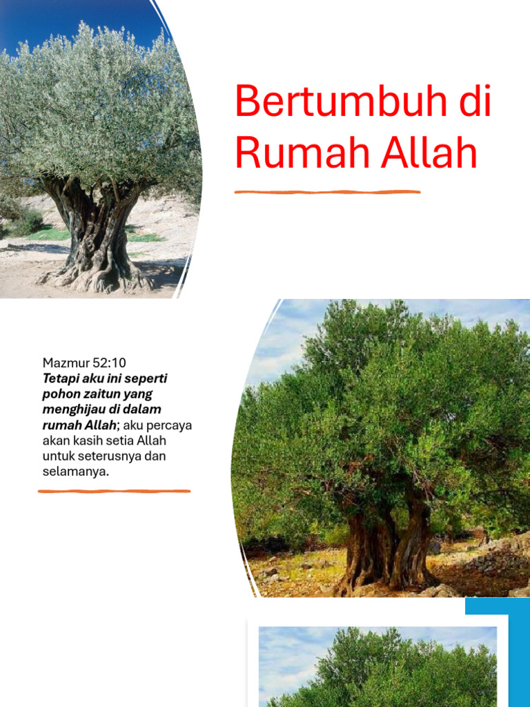 Bertumbuh di Rumah Allah | PDF