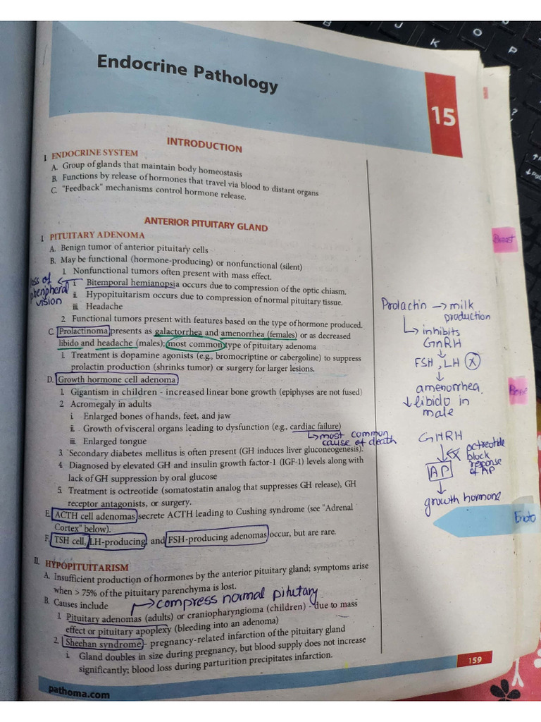 Endo Shortlisting Pathoma | PDF