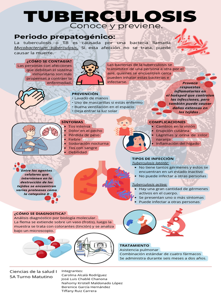 Infografía Sobre La Tuberculosis | PDF | Tuberculosis | Especialidades ...