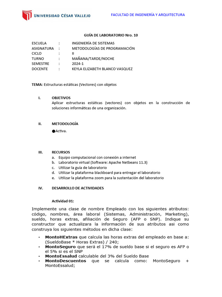 LAB11 VectorObjetos | PDF