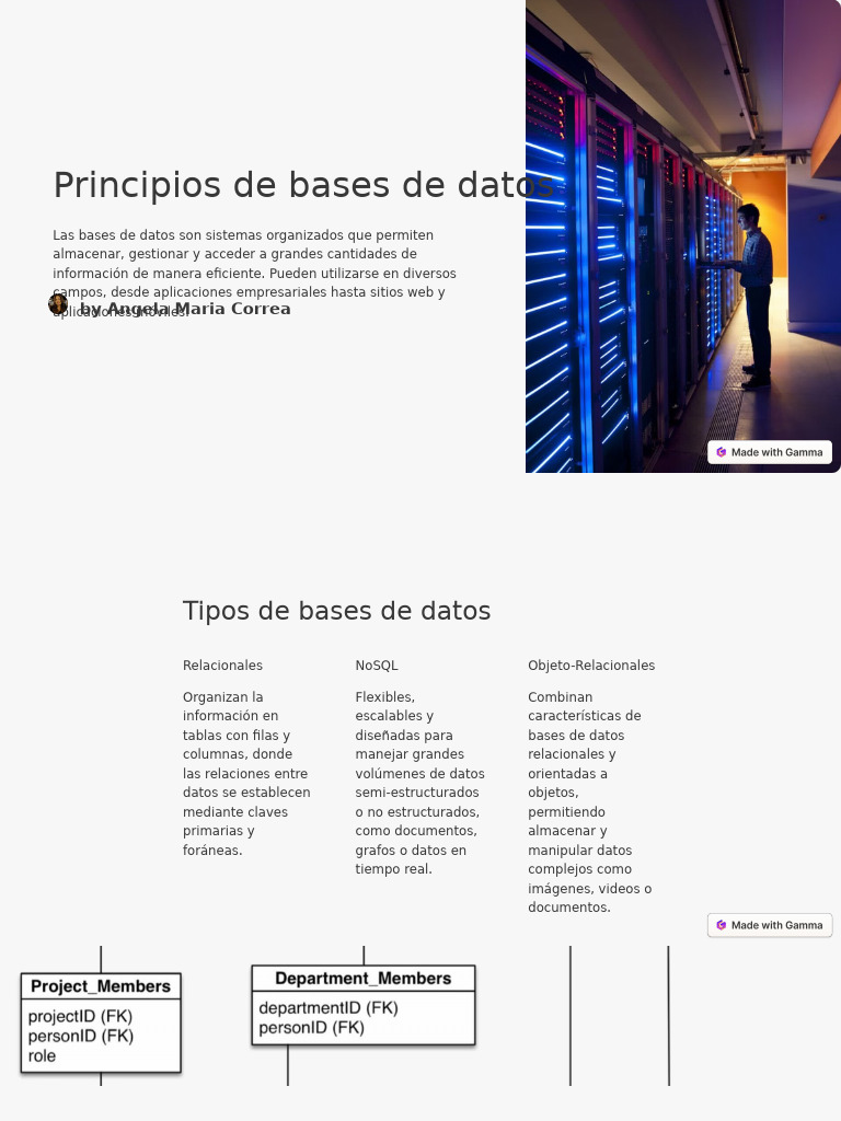 Principios de Bases de Datos | PDF