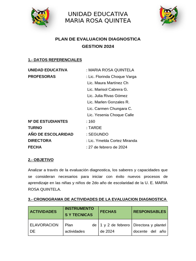 Plan de Evaluacion Diagnostica | PDF