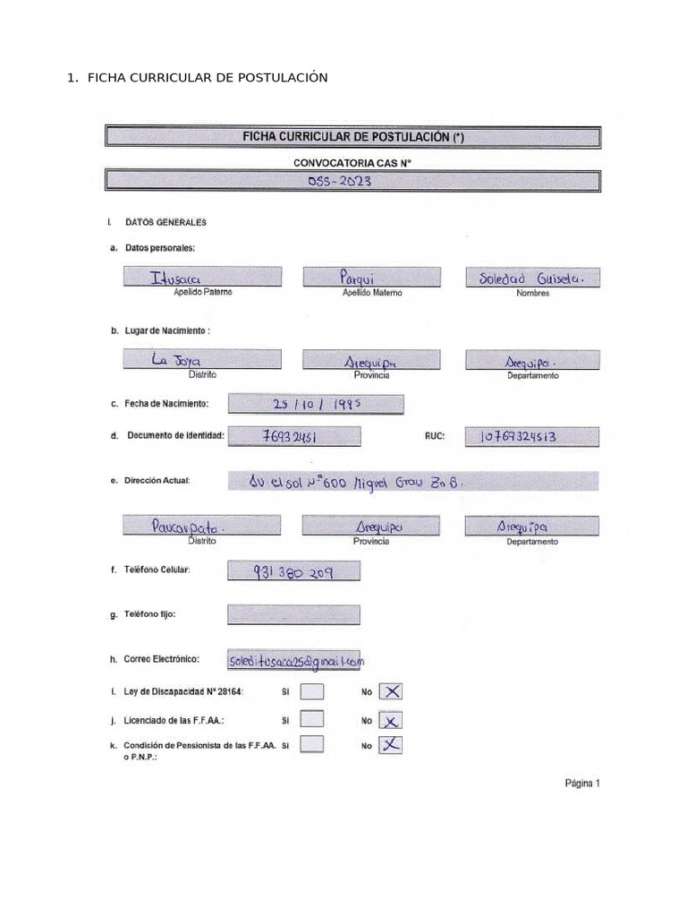 Ficha Curricular de Postulación | PDF