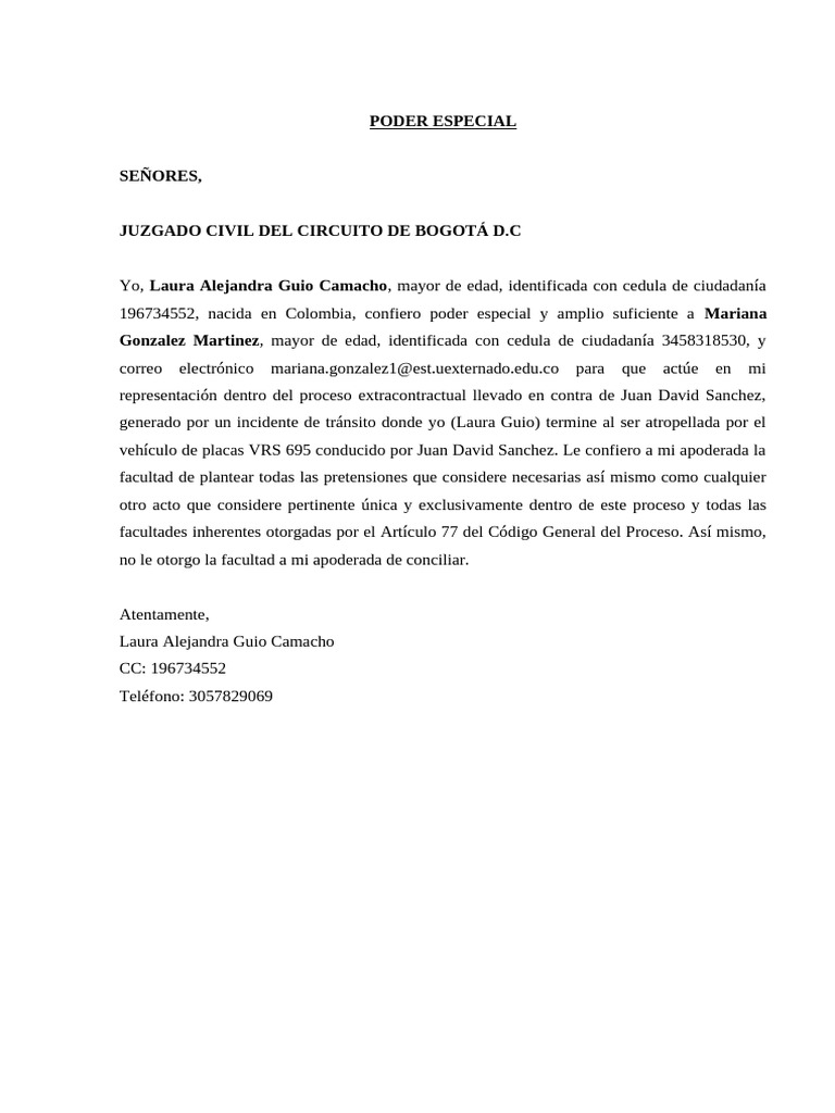 Modelo de Poder Especial - 0 | PDF