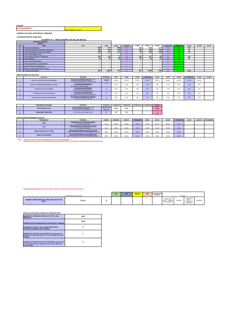 Diagnostico Situacional Eess 2024 Salud Bucal Establecimientos | PDF