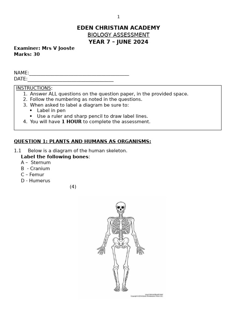 Year 7 Biology Assessment Paper | PDF | Plants | Tissue (Biology)