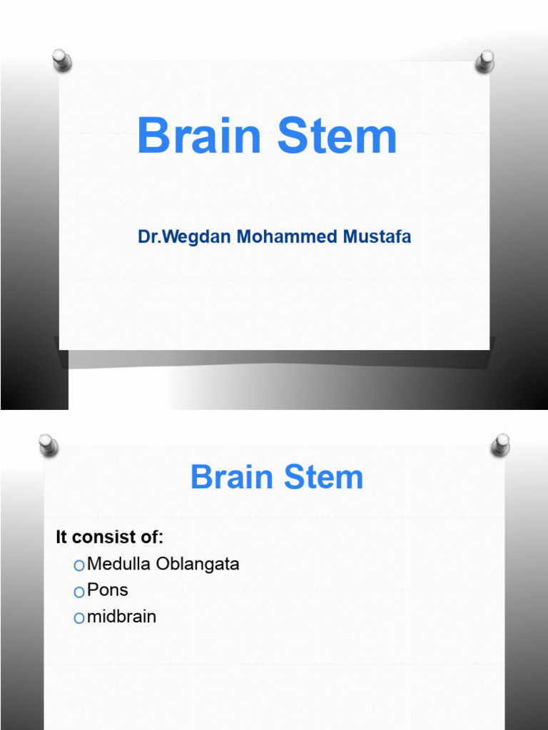 Brain Stem - Copy (1) BDF | PDF