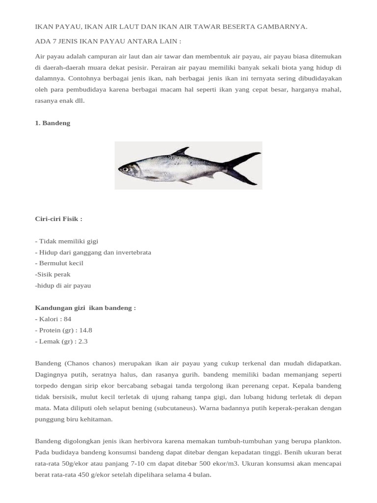 Putri Tiara | PDF