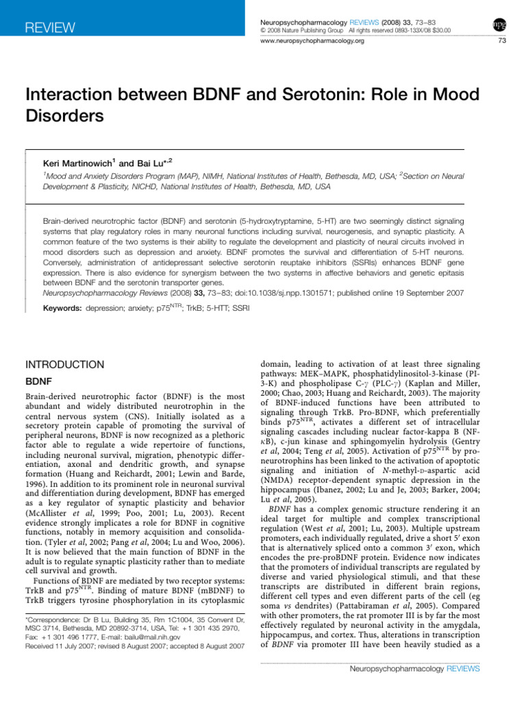 Interaction Between BDNF and Serotonin | PDF