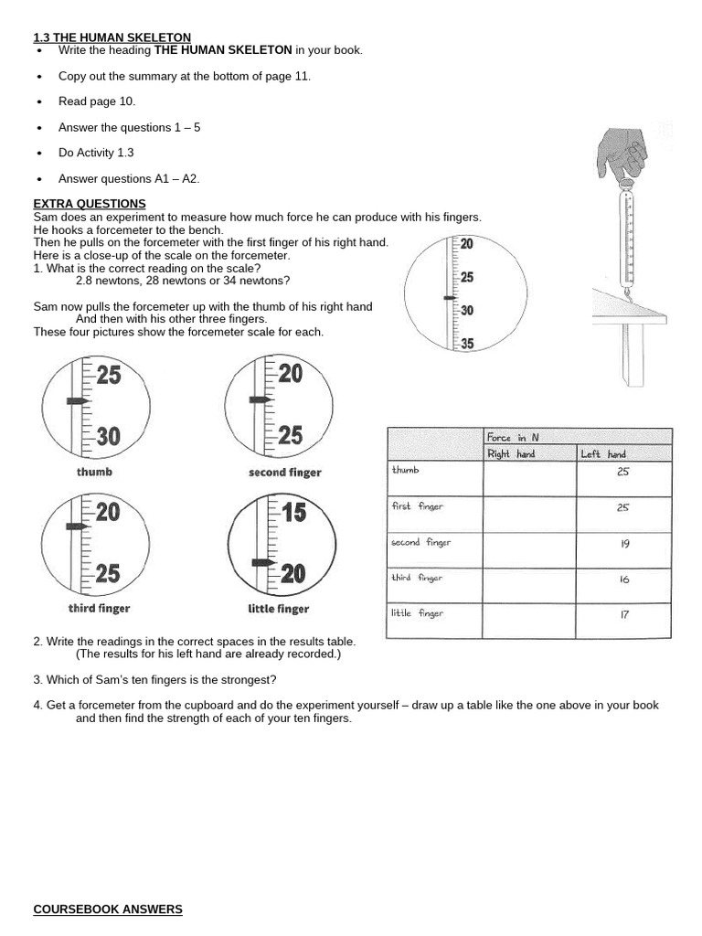 1.3 Human Skeleton | PDF | Teaching Methods & Materials | Home & Garden