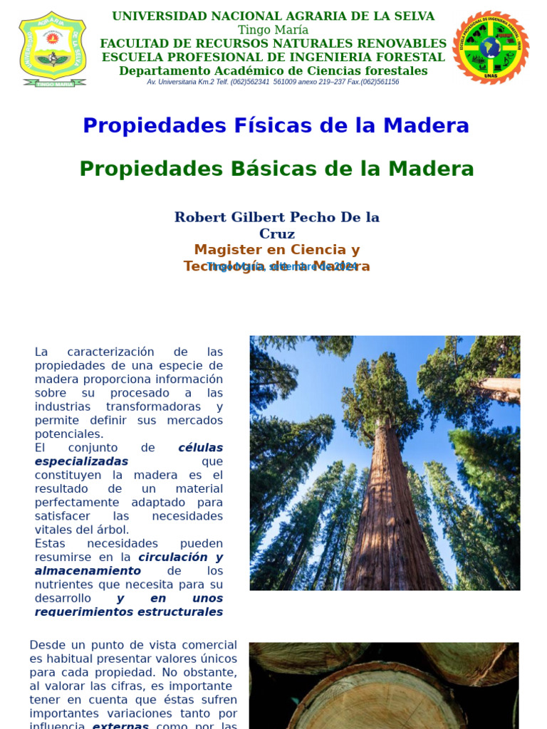 1 Propiedades Básicas de La Madera | PDF
