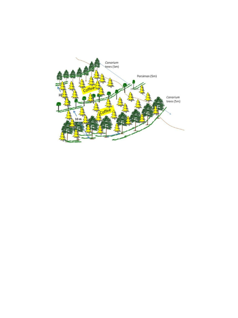 Module 2 Agroforestry System Design and Management | PDF