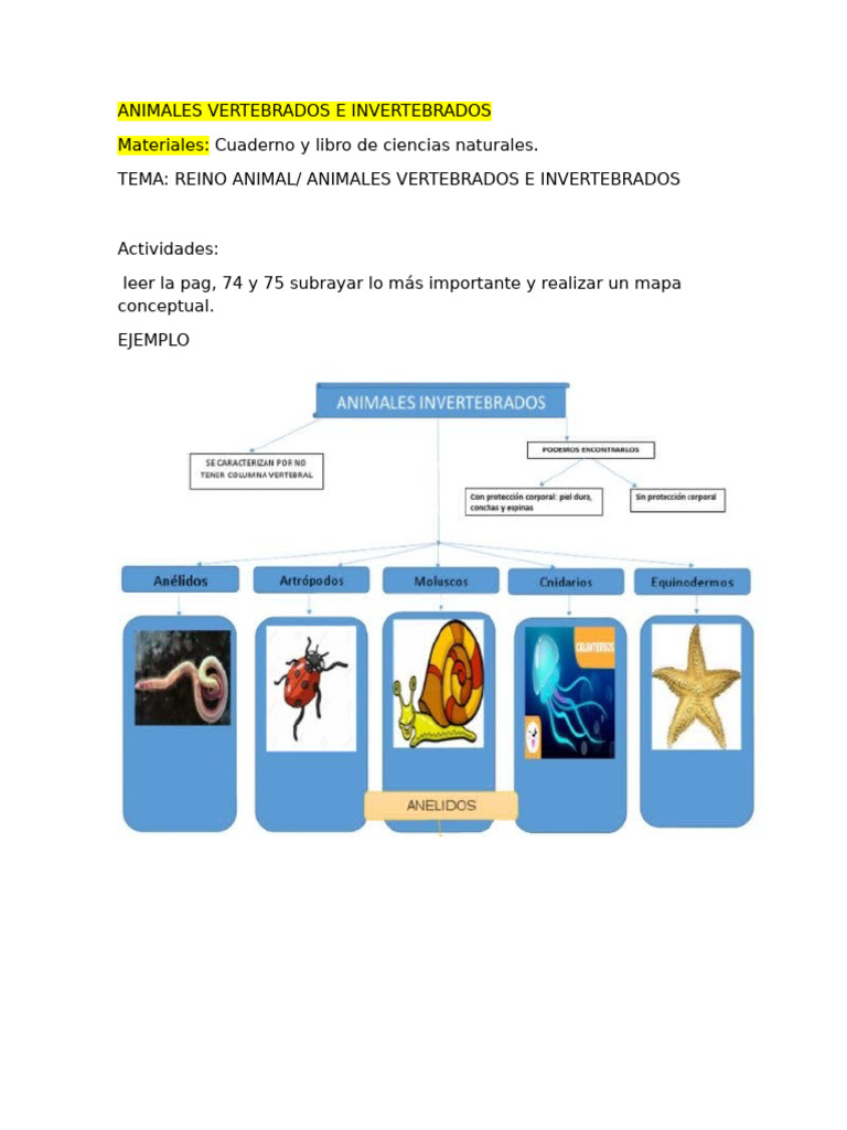 Animales Vertebrados e Invertebrado 8 | PDF
