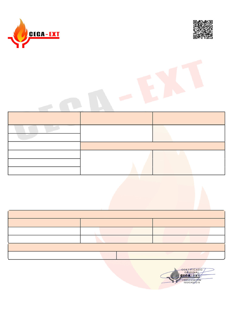 Analisis Gases TOLVA-PLANO-PLUMA-SUCKER XTM Sept-Oct 24' | PDF