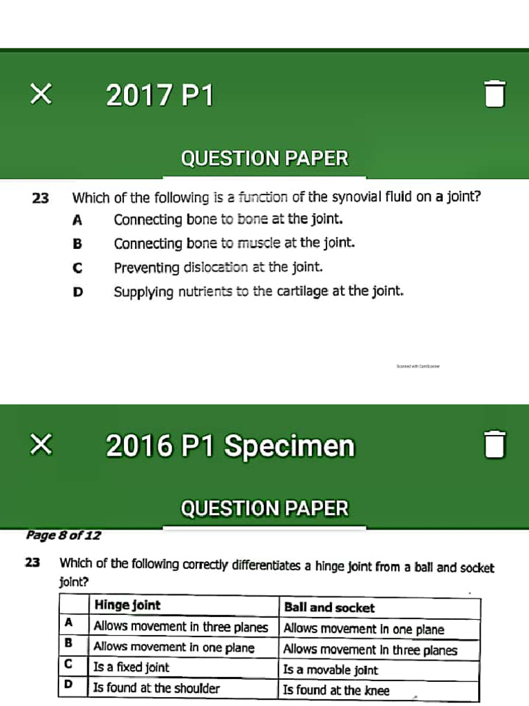 BIO_-JOINTS_WS | PDF
