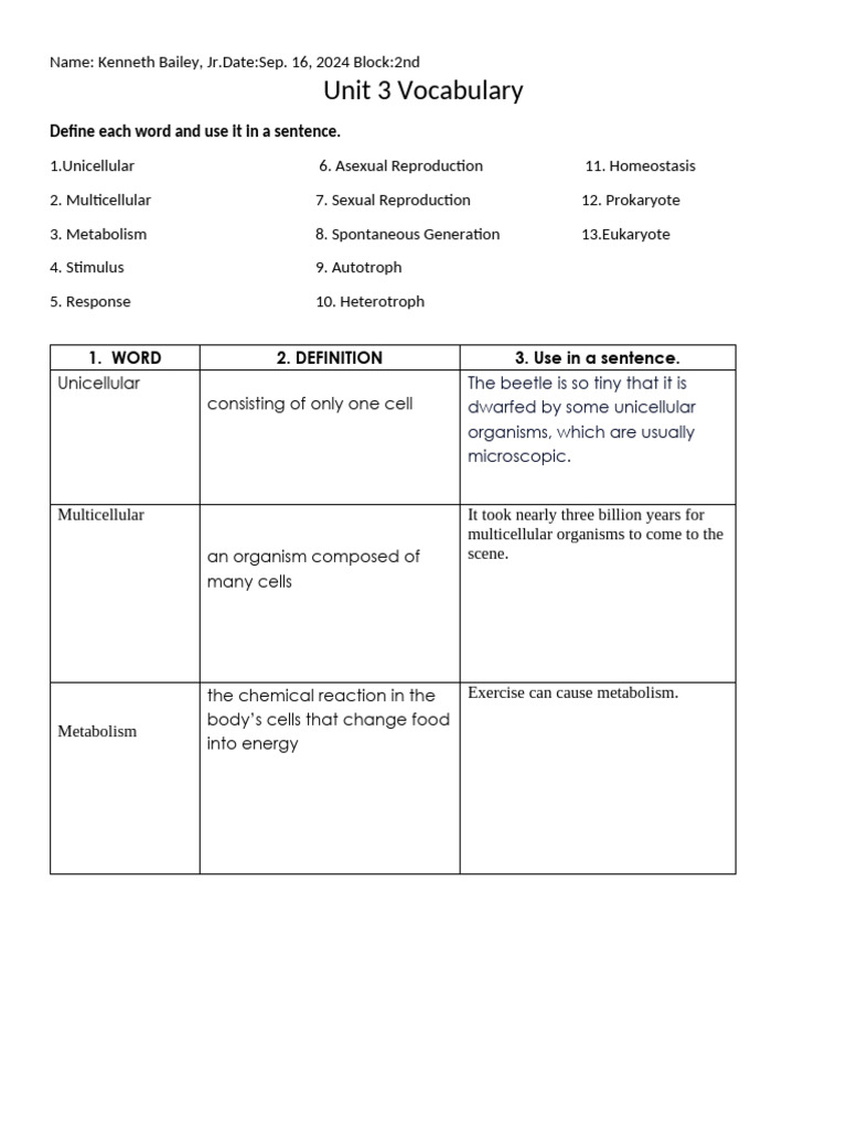 Unit 3 Vocabulary | PDF