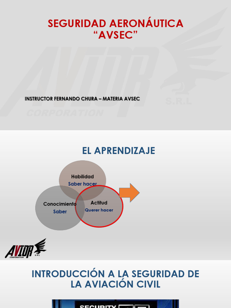 Presentacion AVSEC | PDF