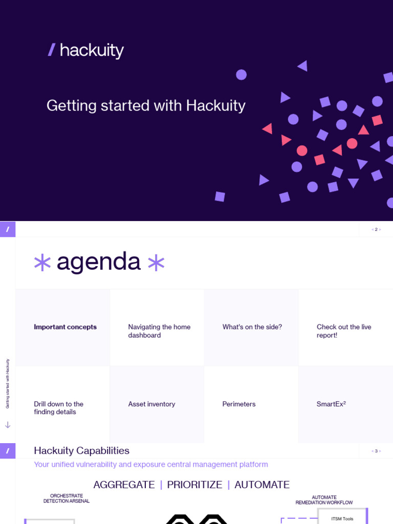 Getting Started With Hackuity | PDF