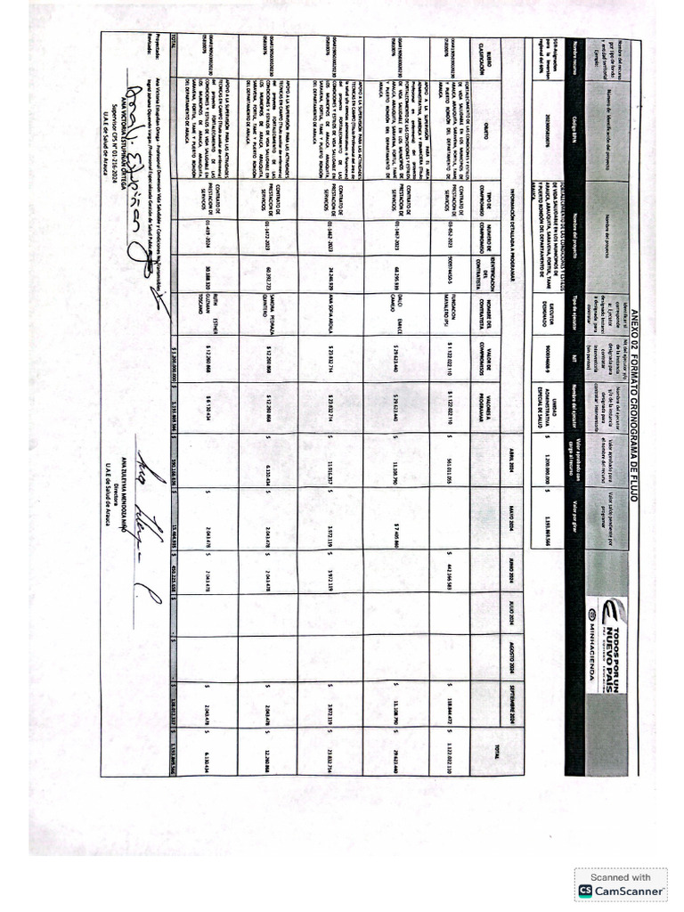 Anexo 02 Formato Cronograma de Flujo SGR | PDF