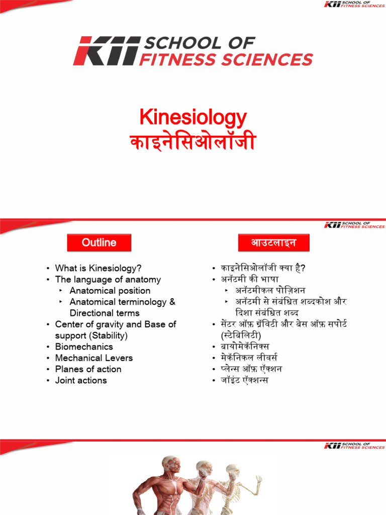 Kinesiology | PDF