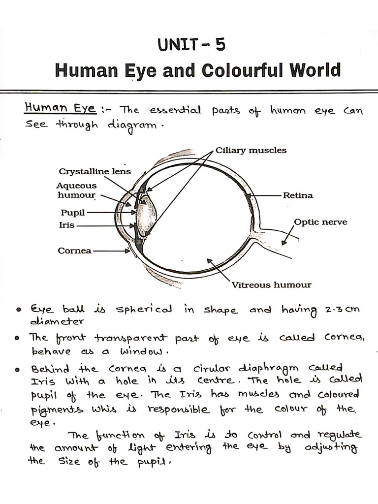 Handwritten Notes of Human Eye | PDF