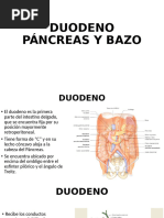 FARINGE y LARINGE - Anatomía II, Veterinaria | PDF | Laringe ...