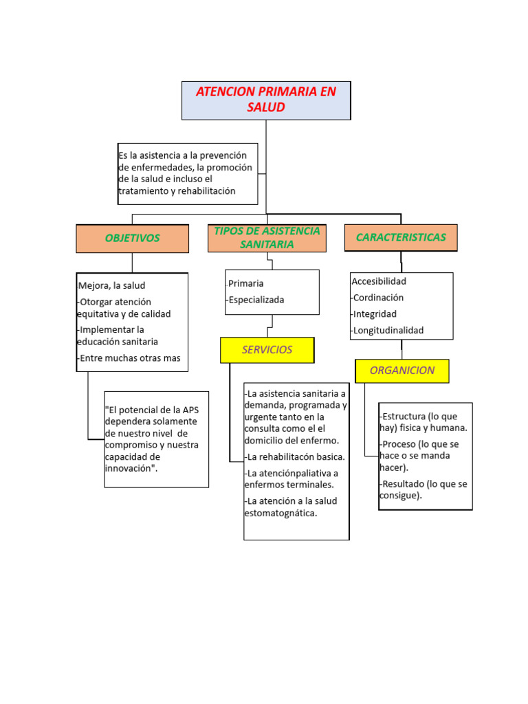 Mapa Conceptual de APS | PDF