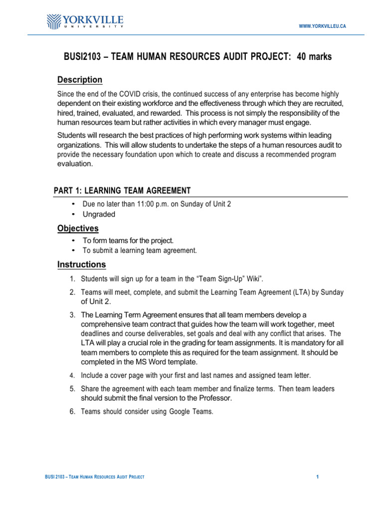 BUSI2103 Team Human Resources Audit Project | PDF