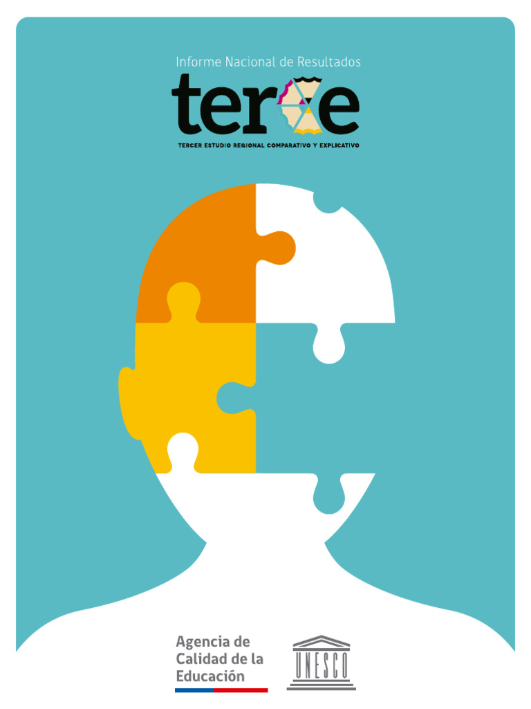 TERCE Informefinal | PDF