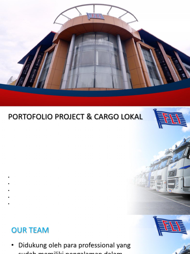 Portofolio Project Fli | PDF