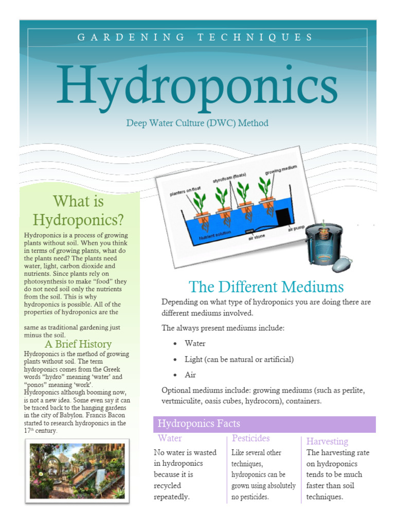 Hydroponics | PDF