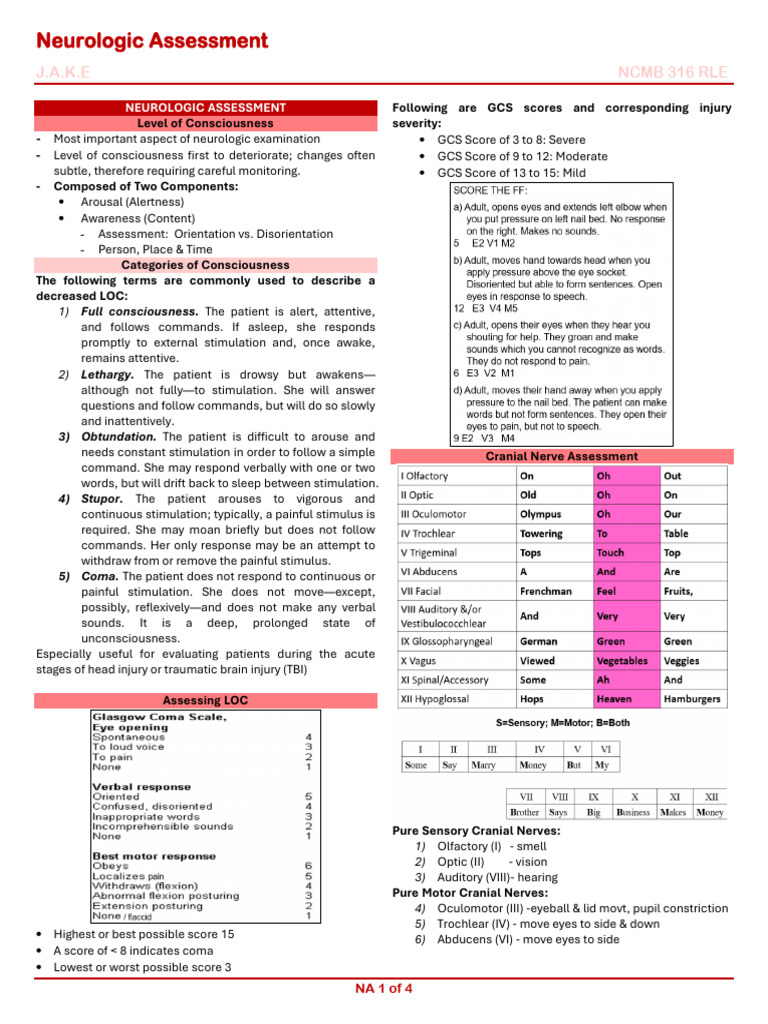 316 RLE - Neurologic Assessment | PDF