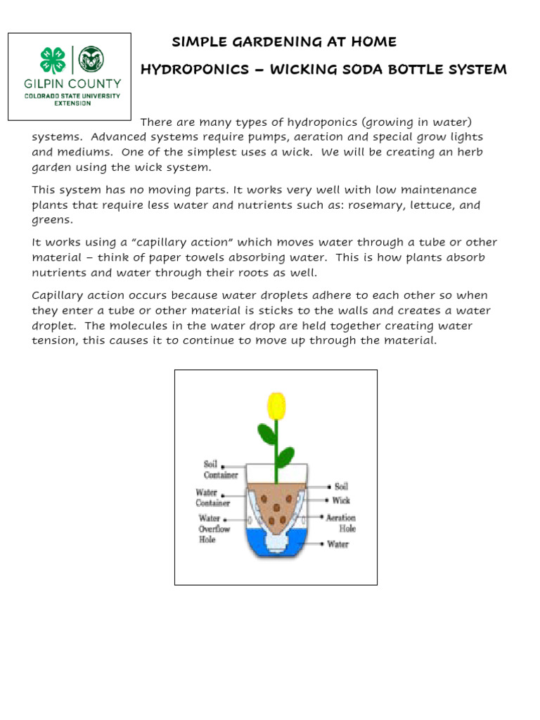 Soda Bottle Wick System Instructions | PDF