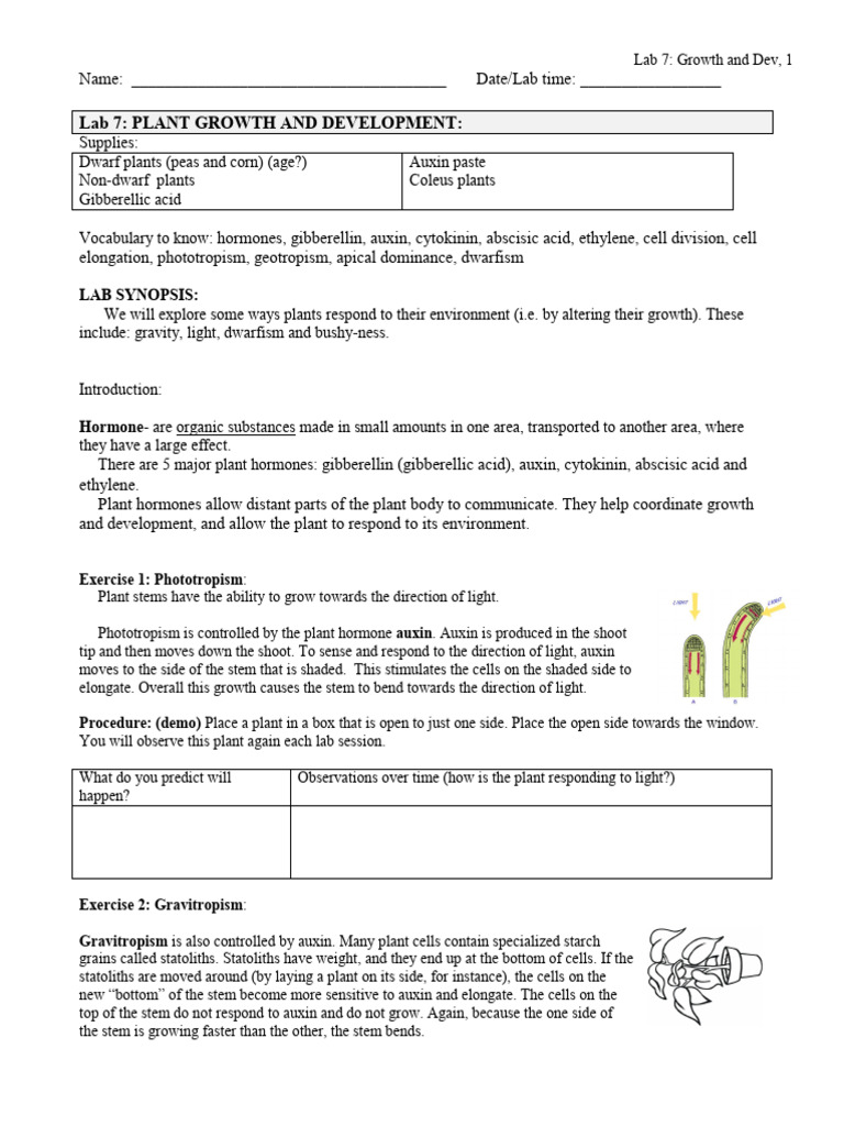 Lab 7 Plant Growth and Developmen Plant Growth Regulator | PDF