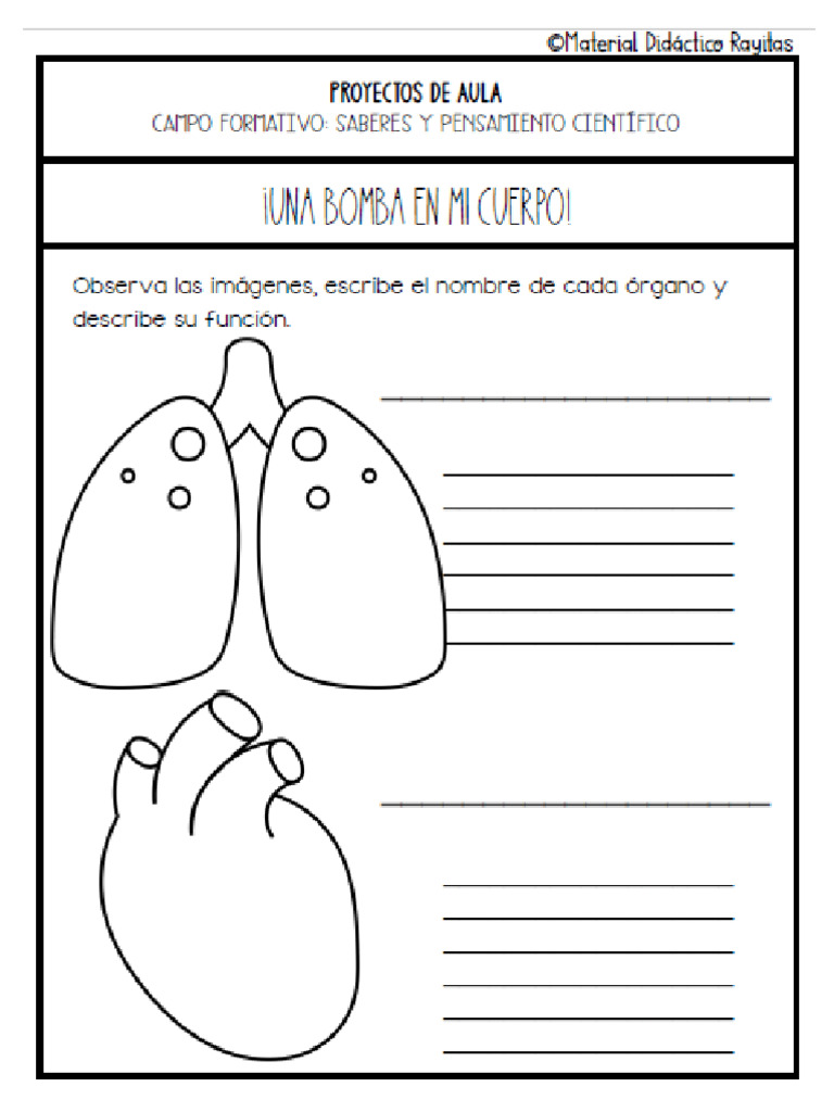 Una Bomba en Mi Cuerpo (Saberes) | PDF