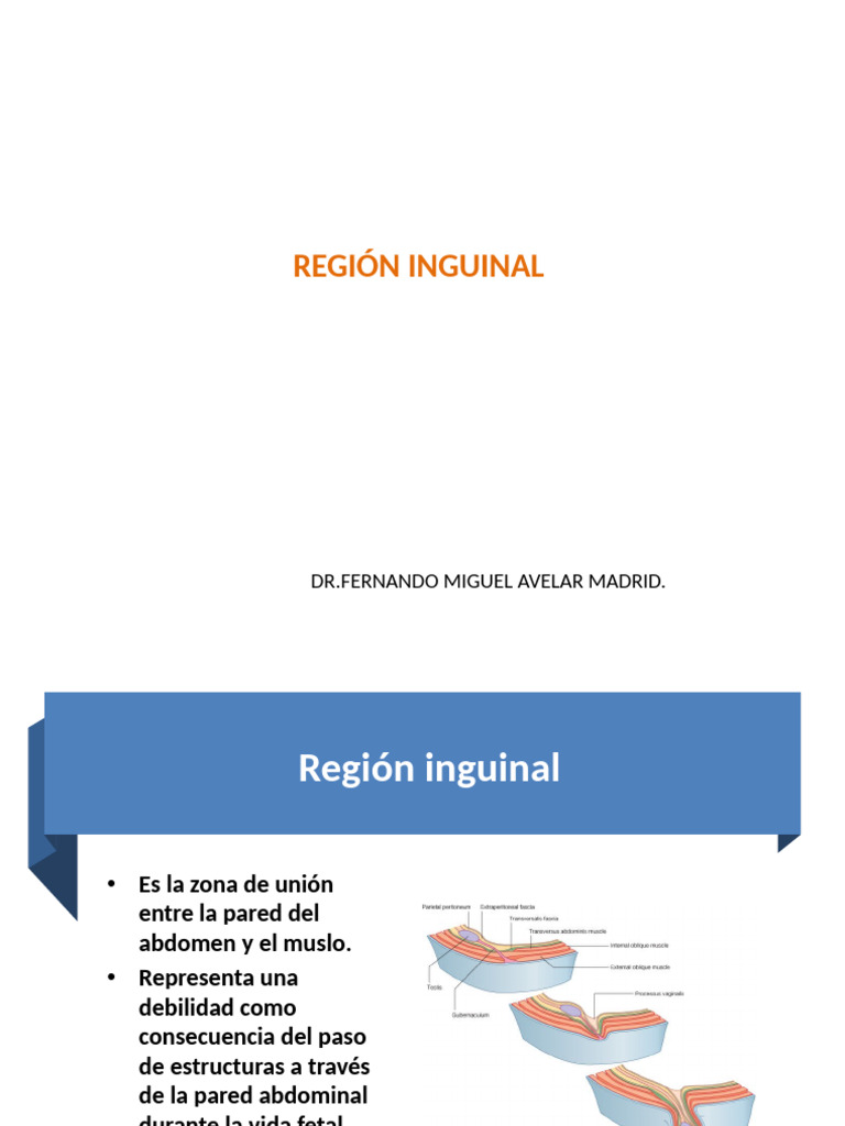 Region Inguinal | PDF