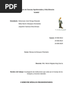 Qué Es El CONAP | PDF