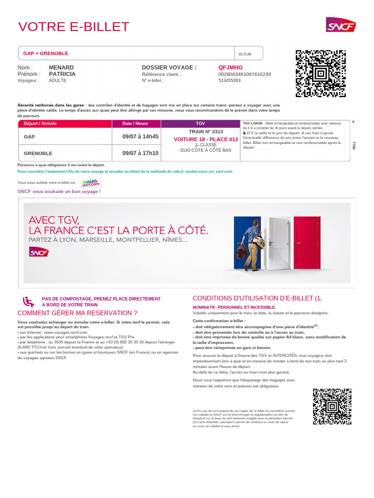 Billet de Train Electronique | PDF