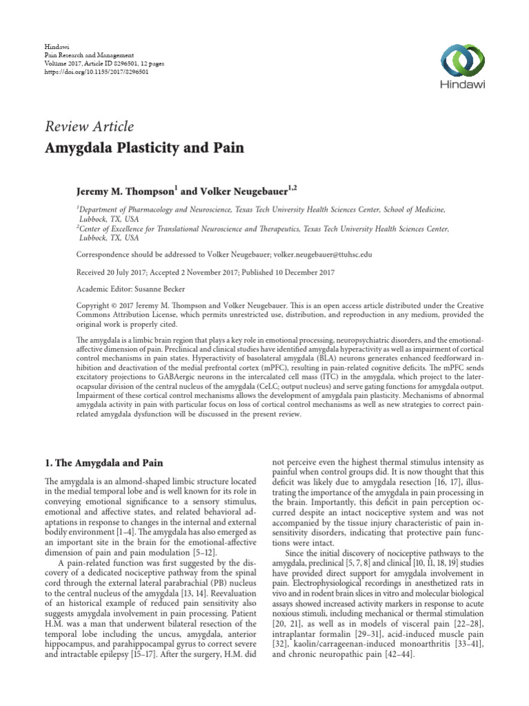 Amygdala Plasticity and Pain | PDF | Amygdala | Science & Mathematics